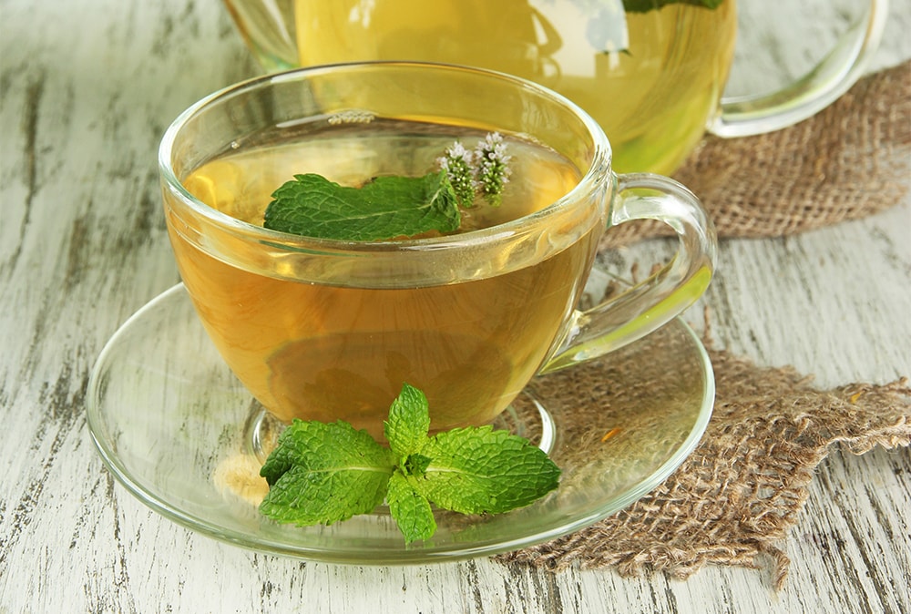 Hortelã - Benefícios para a Saúde